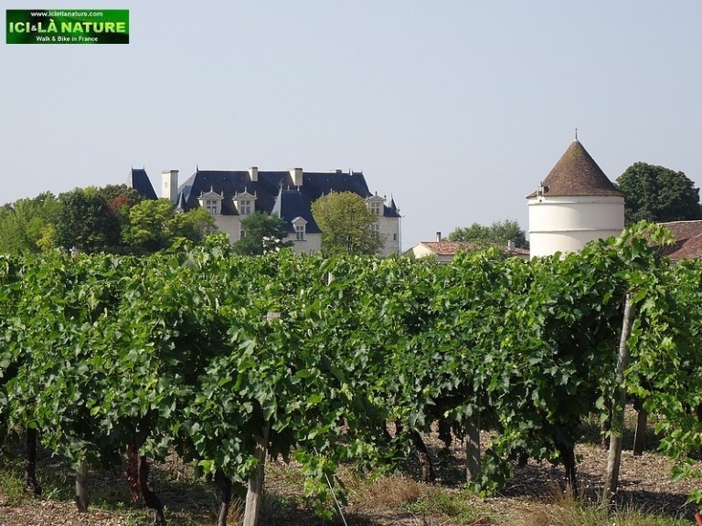 France : Cognac, biking in the land of the Nectar of the Gods – 70 ...