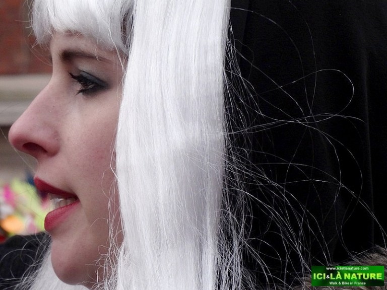 Carnivals in France : Dunkirk – 50 portraits – ICI & LA NATURE PICTURES