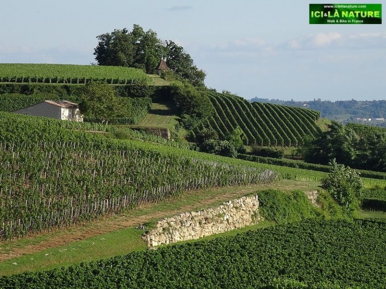 France – Saint-Emilion : Walking around Bordeaux High Class vineyards ...