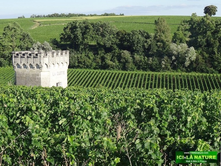 France – Saint-Emilion : Walking around Bordeaux High Class vineyards ...