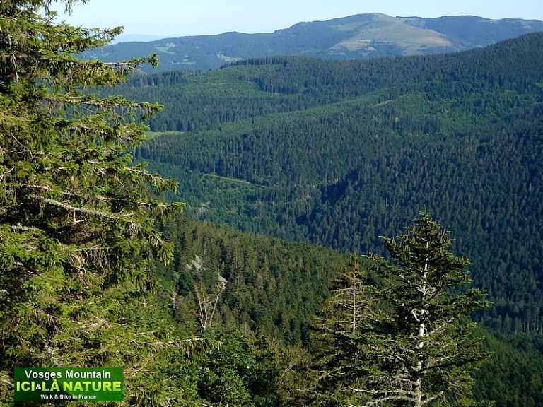 France : Vosges mountains and Alsace vineyards – 50 photos. – ICI & LA ...