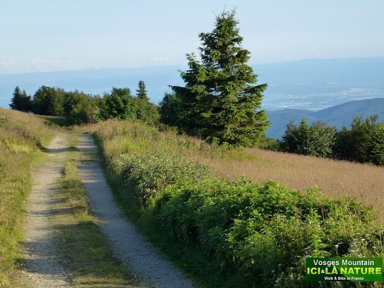 France : Vosges mountains and Alsace vineyards – 50 photos. – ICI & LA ...